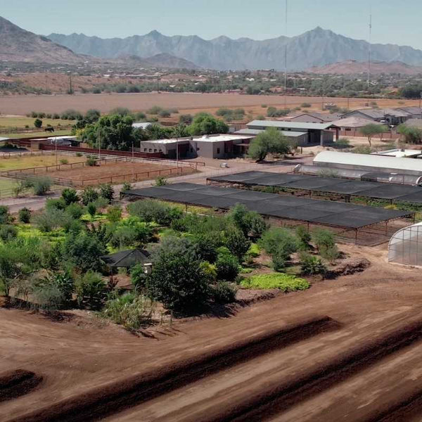 Large Scale Vermicomposting Equipment - Urban Worm Company